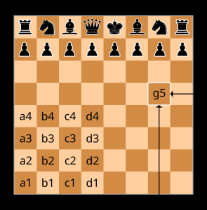 What Are Chess Coordinates and Notations? - ChessNinja